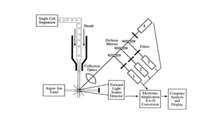 Flow cytometry | PPT