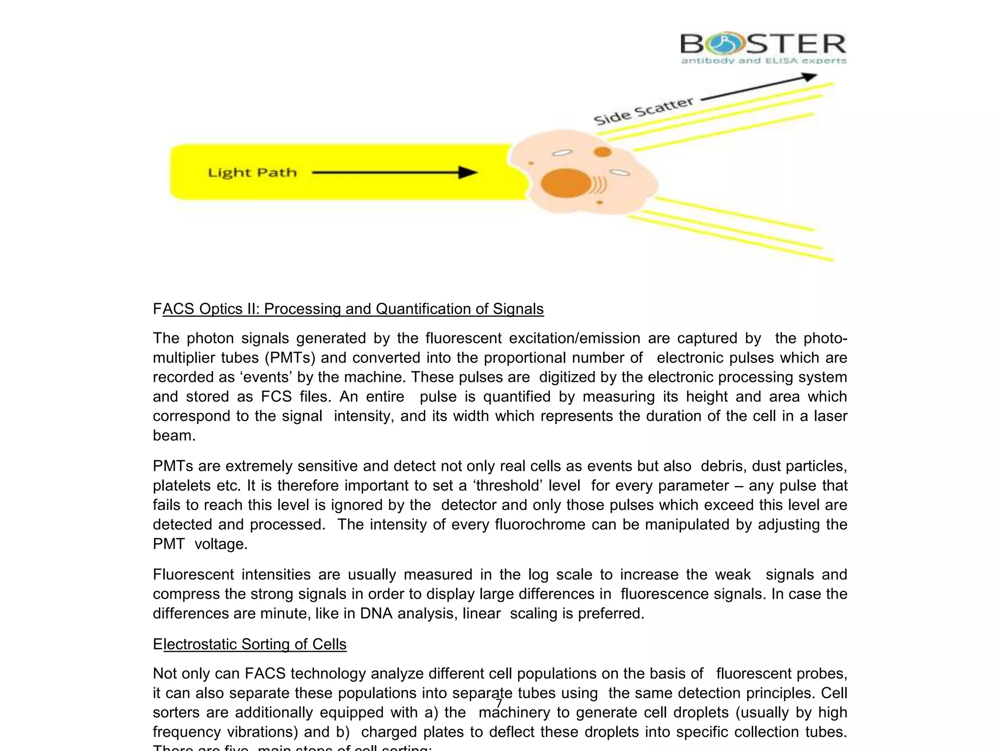 Flow cytometry principle | PPT