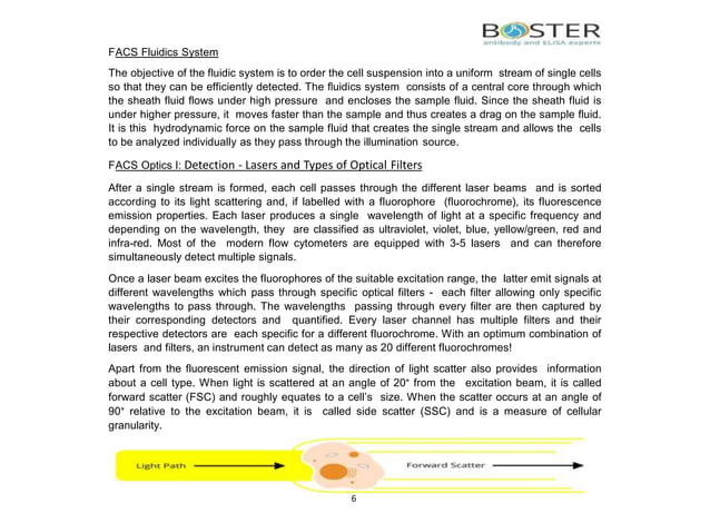 Flow cytometry principle | PPT