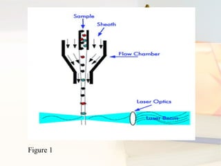 Flow cytometry ready | PPT