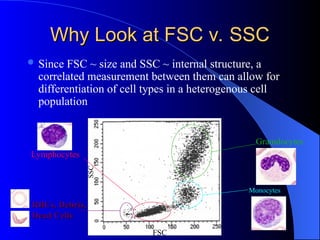 Background information on flow cytometry | PPT