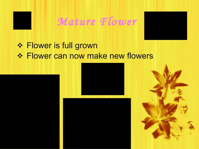 Chloe's PPT | PPT | Gardening | Home & Garden