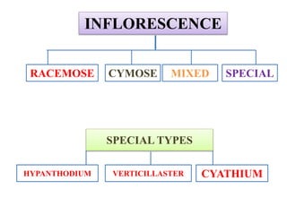 flower - it's types,aestivation and androecium and gynoecium | PPTX