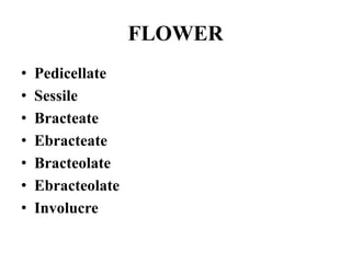flower - it's types,aestivation and androecium and gynoecium | PPTX
