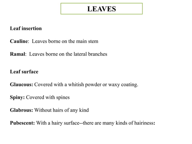flower - it's types,aestivation and androecium and gynoecium | PPTX