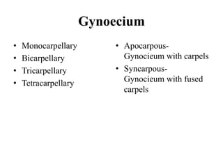 flower - it's types,aestivation and androecium and gynoecium | PPT