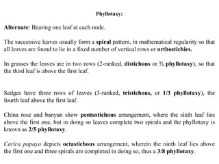 flower - it's types,aestivation and androecium and gynoecium | PPT