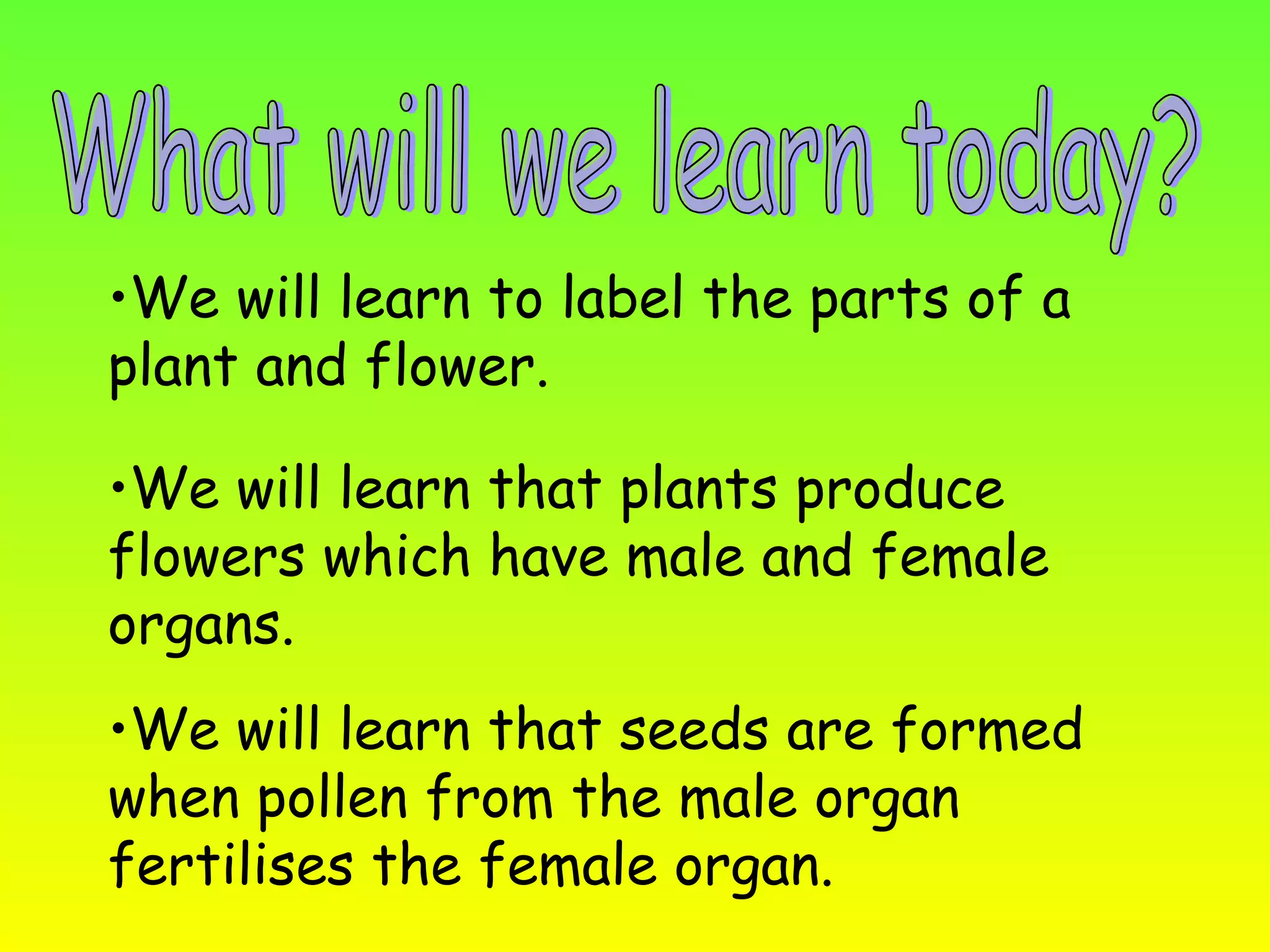 Parts of a plant | PPT | Gardening | Home & Garden