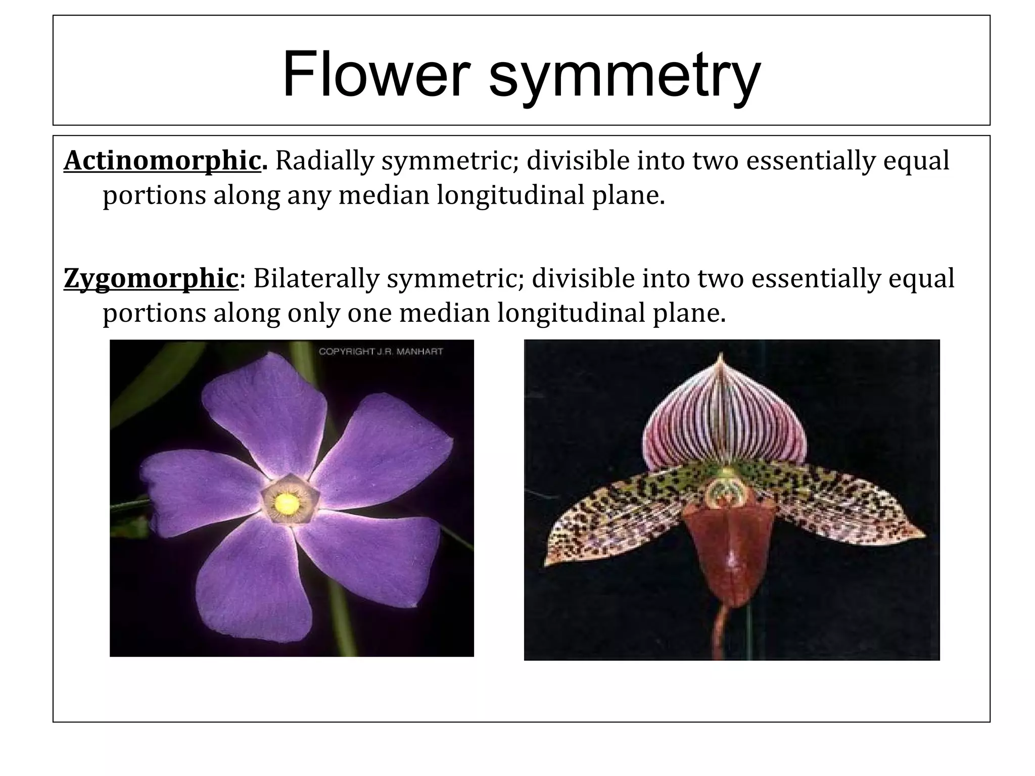 Flower structure and pollination mechanisms | PPT