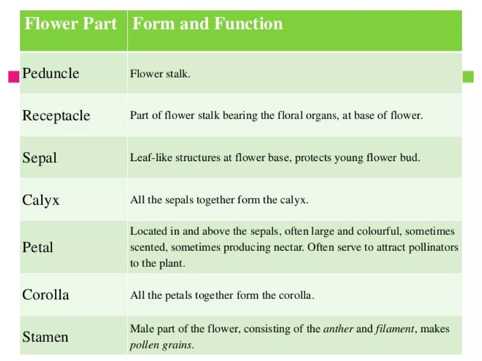 Flower structure and pollination mechanisms | PPT