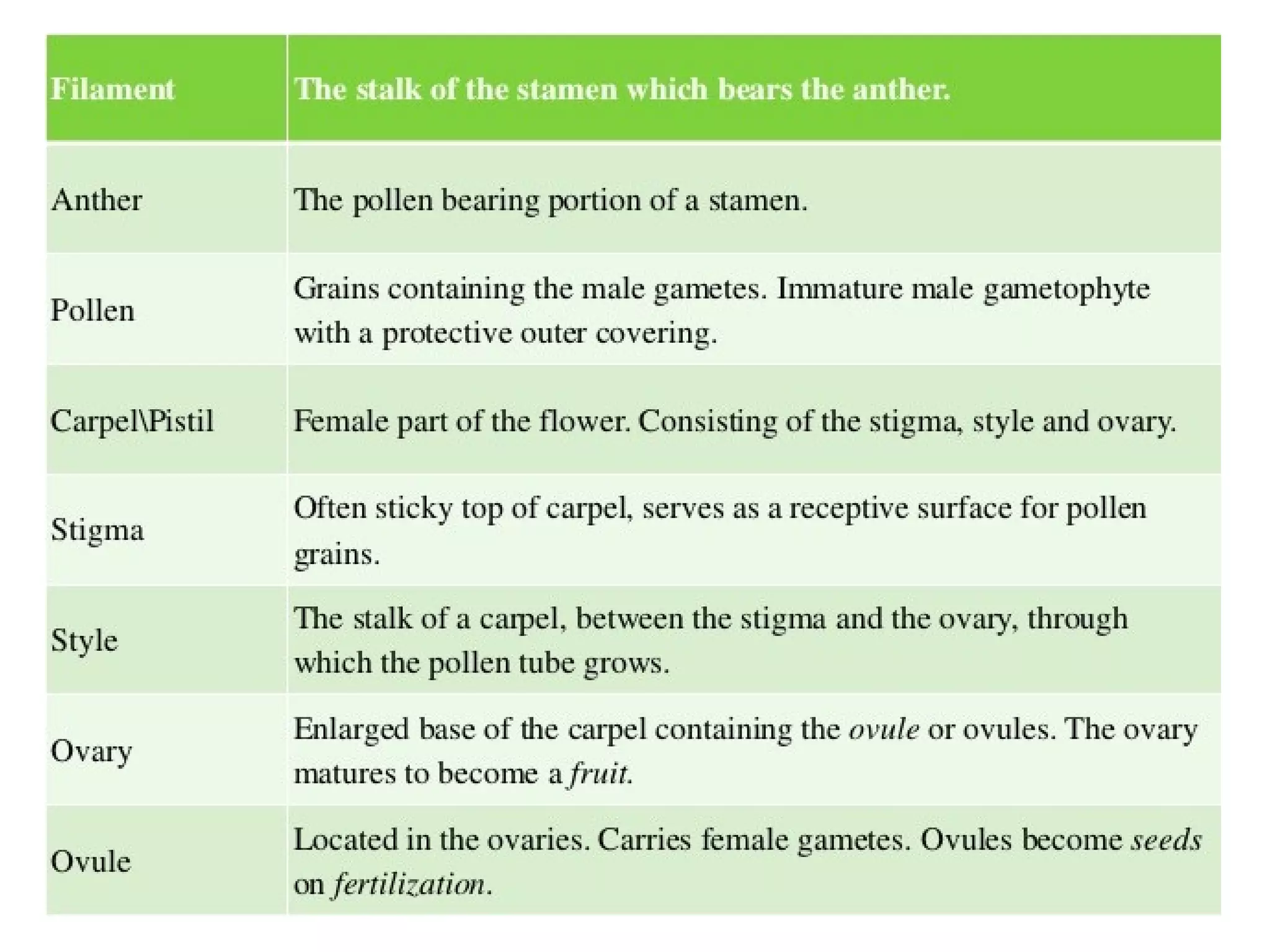 Flower structure and pollination mechanisms | PPT