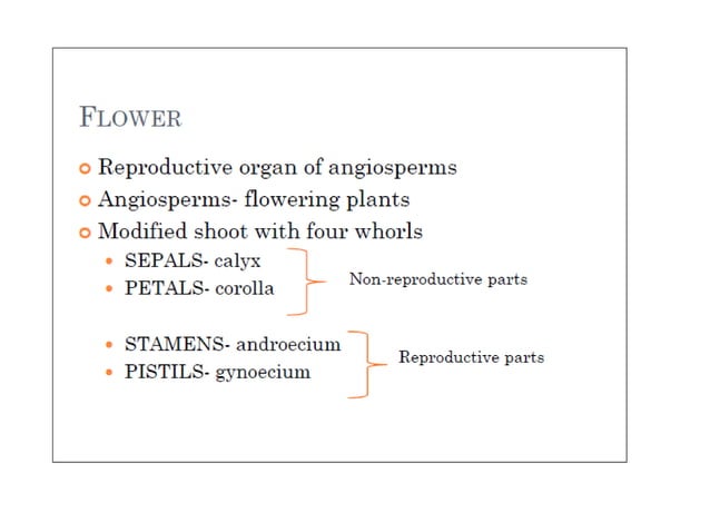 Flower structure and pollination mechanisms | PPT