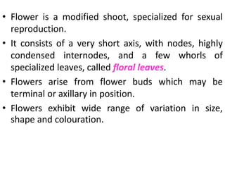 Flower | PPTX