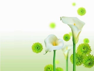 Beautiful Nature Flowers Slide Show | PPT