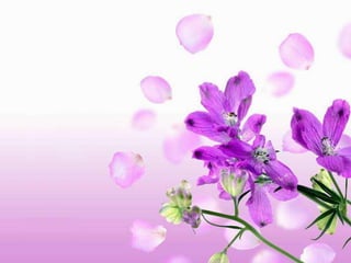 Beautiful Nature Flowers Slide Show | PPT