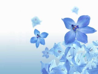 Beautiful Nature Flowers Slide Show | PPT