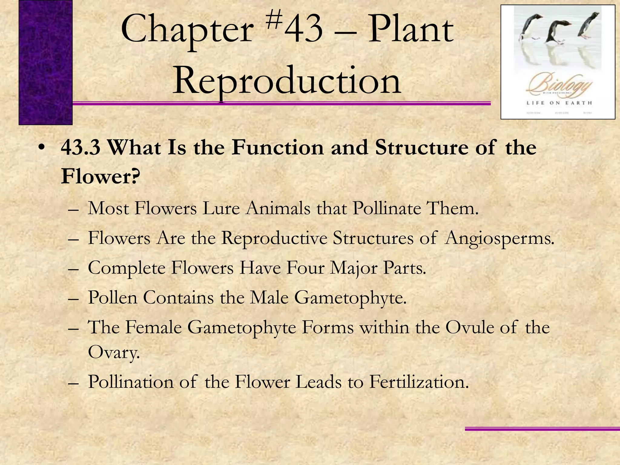 Flower.ppt