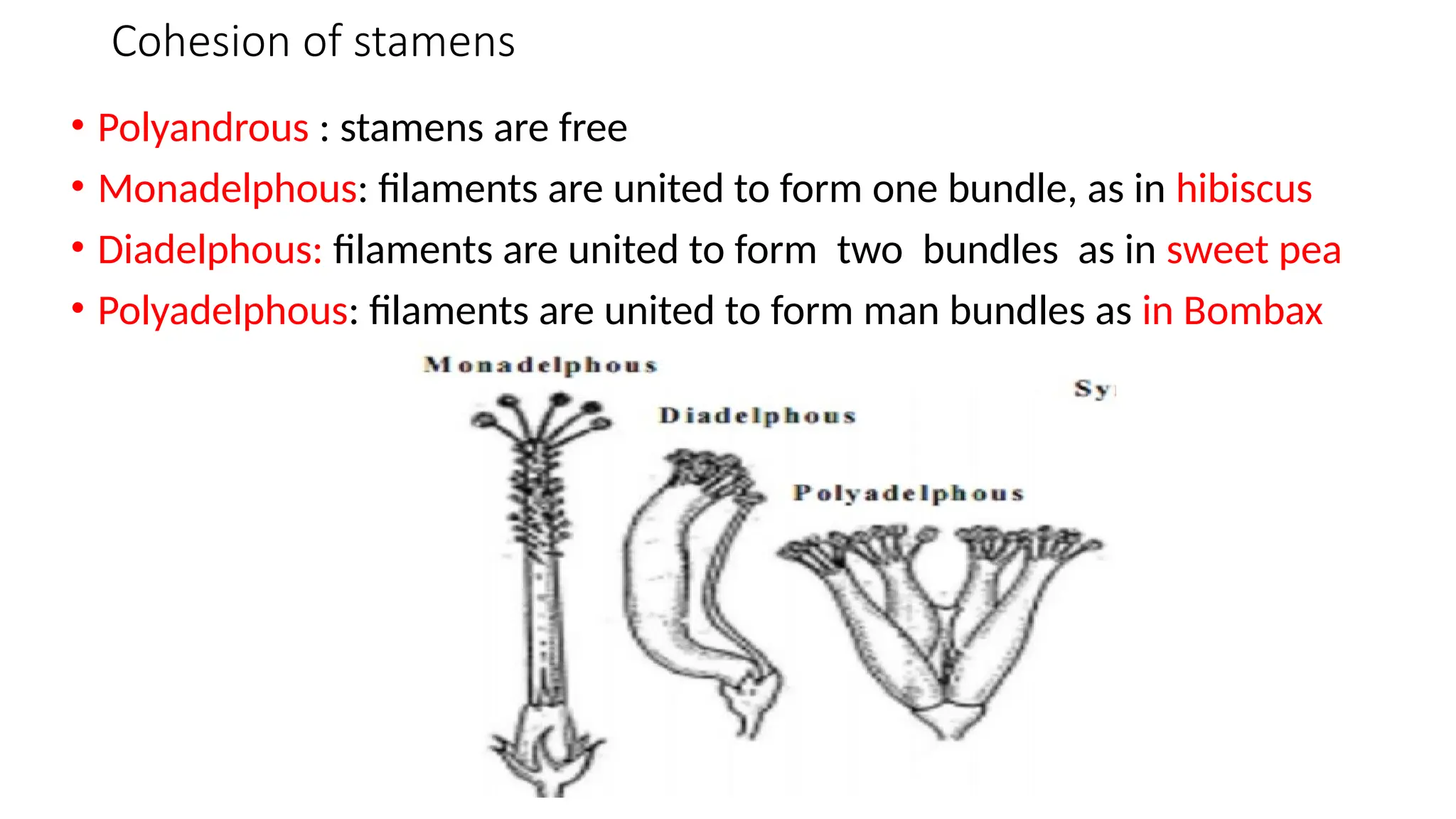 FLOWER class 9 ICSE Class9 detailed.pptx