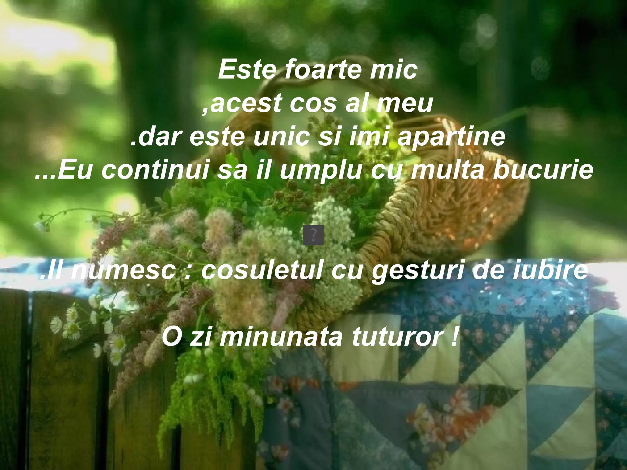 Flower Boxes(Cosulete cu flori) | PPS