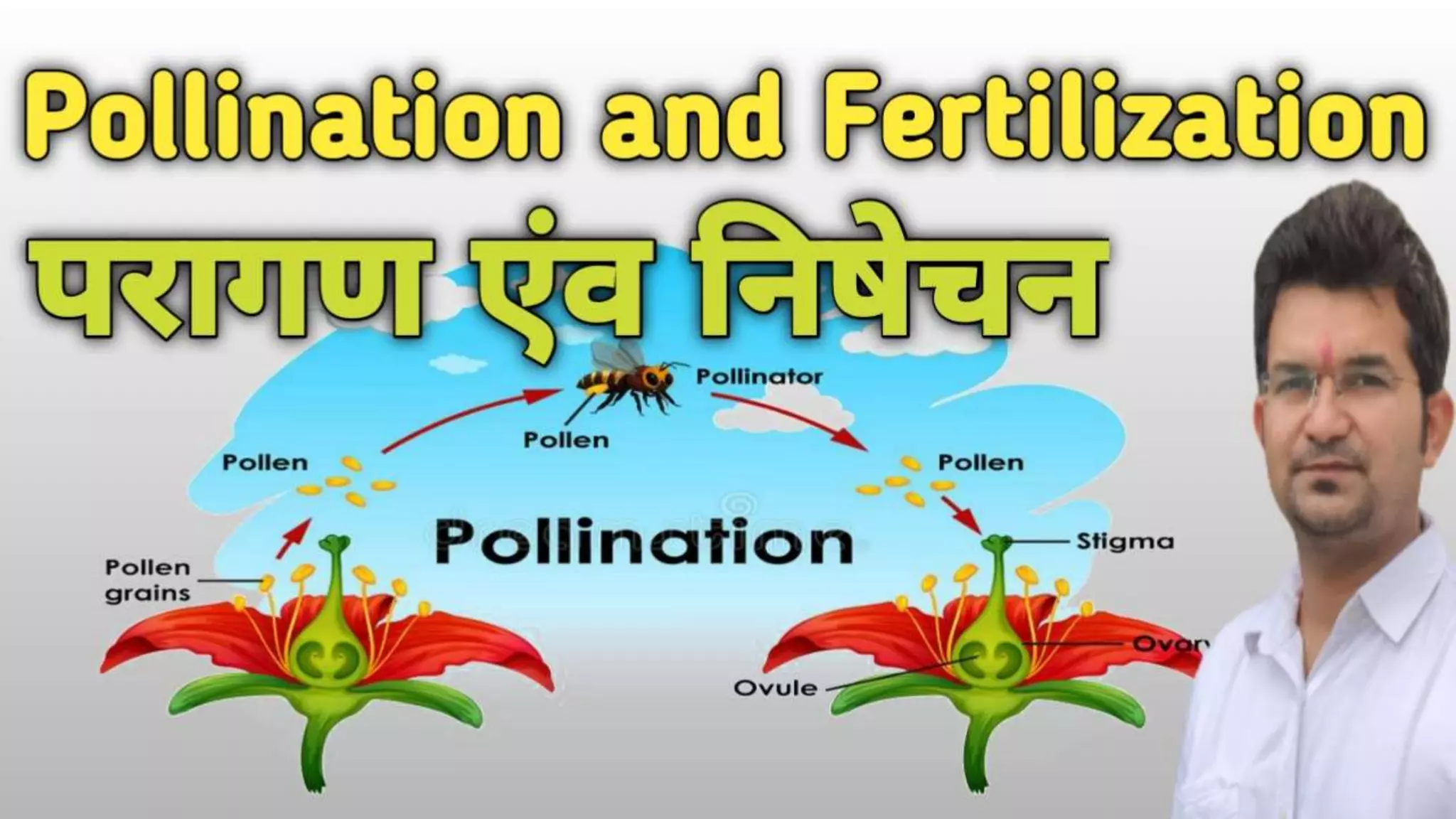 pollination and fertilization | PPTX