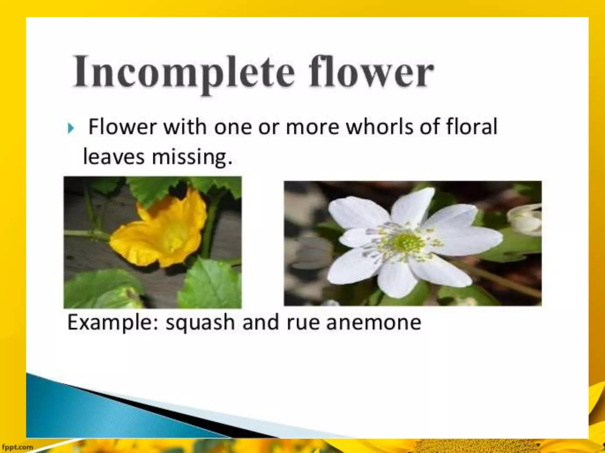 Flowers and Floral Formula | PPTX