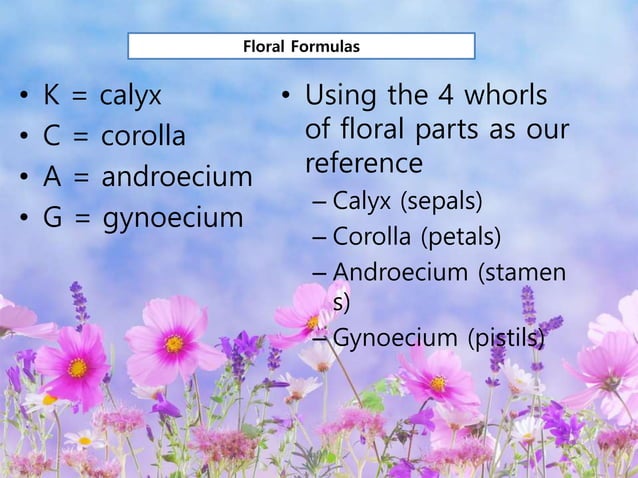 Flowers and Floral Formula | PPTX | Gardening | Home & Garden