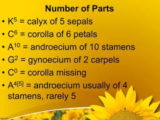 Flowers and Floral Formula | PPTX