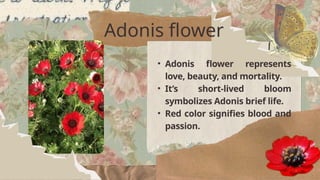 Flower-Myths_20241029_095602_0hgt000.pptx
