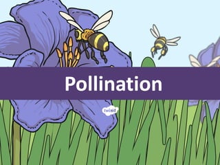 Flower pollination-task-setter-powerpoint - text-converted | PPT