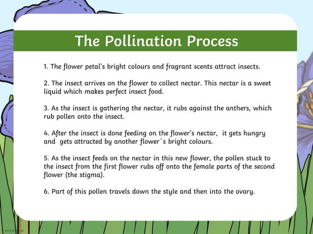 Flower pollination-task-setter-powerpoint - text-converted | PPT