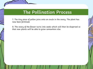 Flower pollination-task-setter-powerpoint - text-converted | PPT