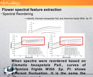 FLOWER SPECIES IDENTIFICATION AND COVERAGE ESTIMATION BASED ON ...