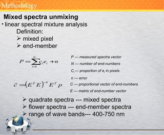 FLOWER SPECIES IDENTIFICATION AND COVERAGE ESTIMATION BASED ON HYPERSPECTRAL REMOTE SENSING DATA.ppt