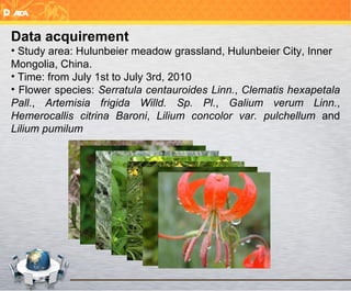 FLOWER SPECIES IDENTIFICATION AND COVERAGE ESTIMATION BASED ON ...