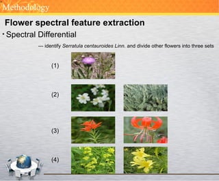 FLOWER SPECIES IDENTIFICATION AND COVERAGE ESTIMATION BASED ON ...