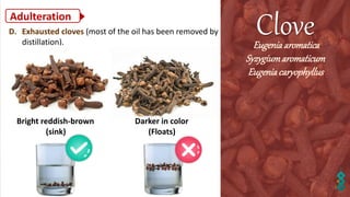 Practical pharmacognosy: Flower 1. clove 2023.pdf