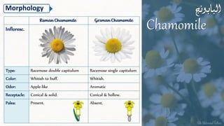 Pharmacognosy Flower 3. Compositae 2023.pdf