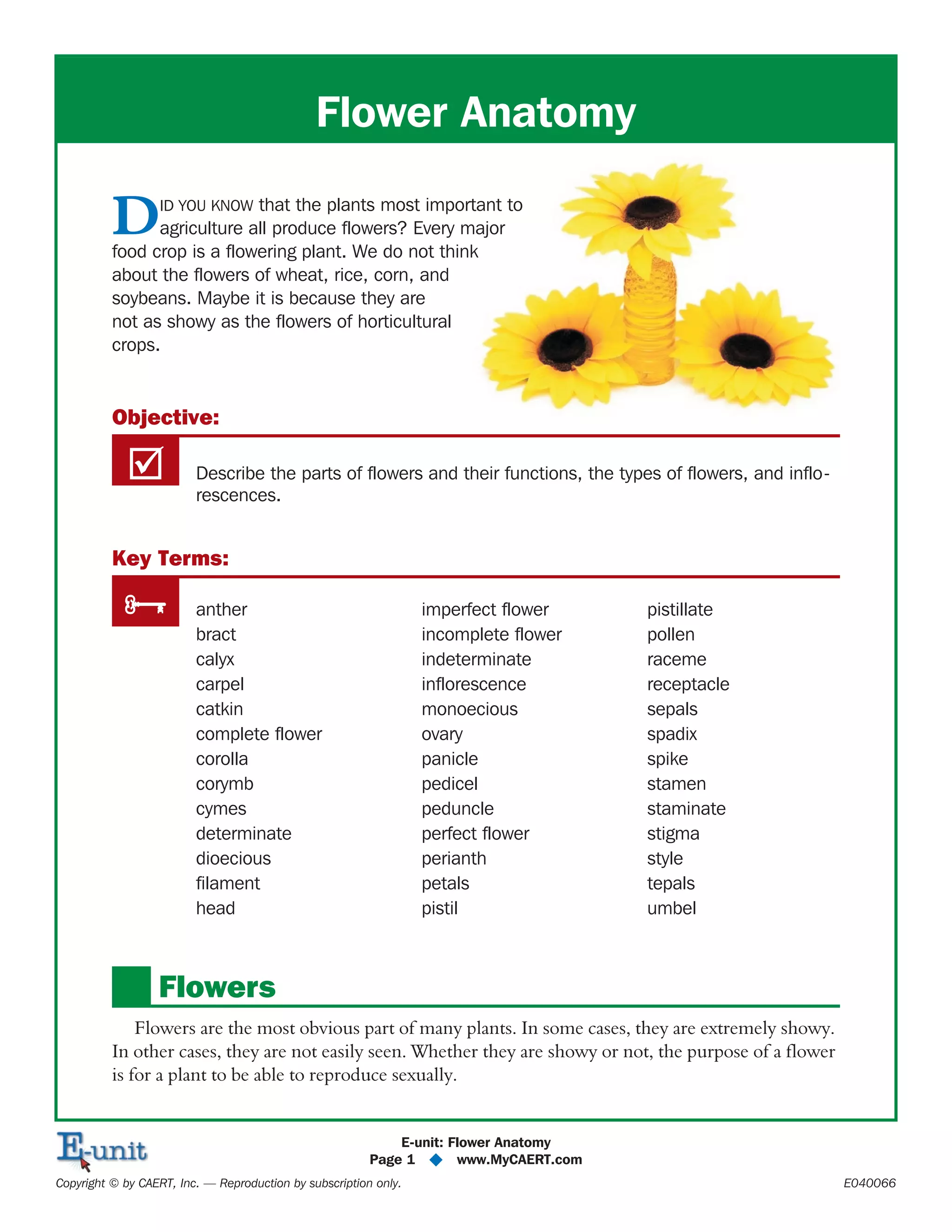 Flower anatomy | PDF