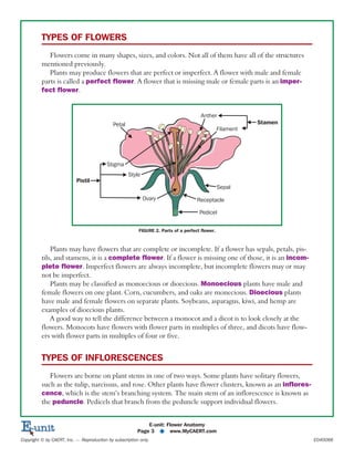 Flower anatomy | PDF