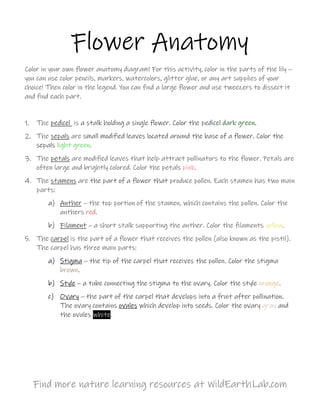 Flower_Anatomy_Coloring.pdf