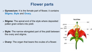 Parts of Flower and types | PPTX