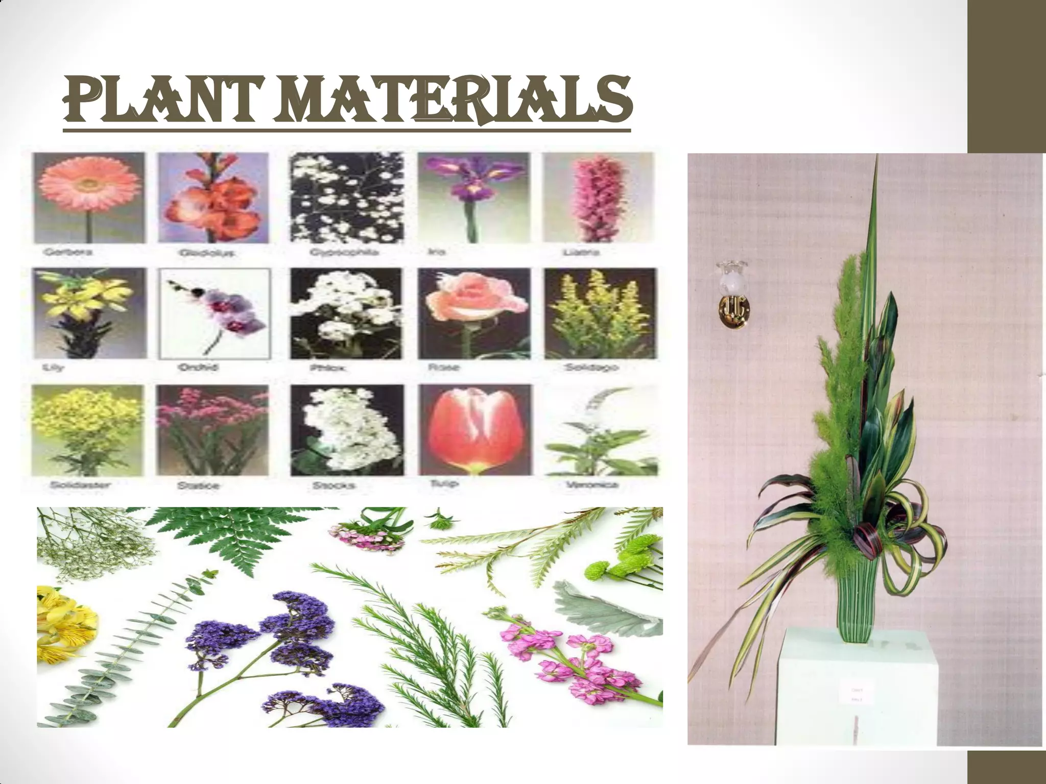 Flower arrangement ppt. | PDF | Gardening | Home & Garden