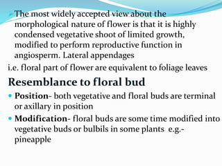 Flower as shoot modification | PPTX | Gardening | Home & Garden