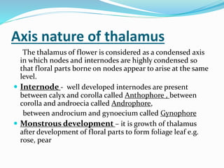 Flower as shoot modification | PPTX | Gardening | Home & Garden