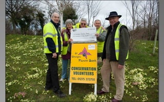St George's Flower Bank | PDF