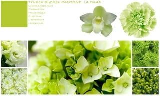 Flower Color Trends - Spring 2013 | PDF