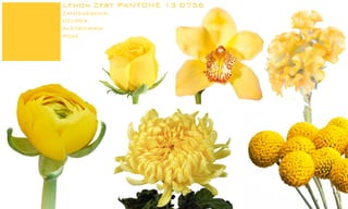 Flower Color Trends - Spring 2013 | PDF