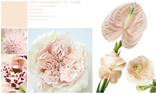 Flower Color Trends - Spring 2013 | PDF