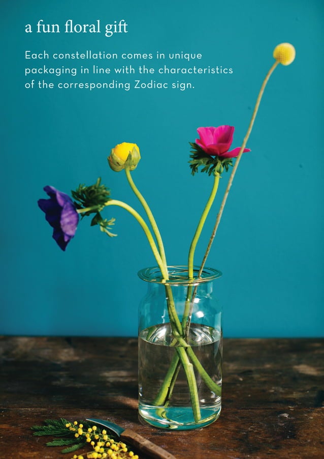 Flower constellation story house of thol | PDF