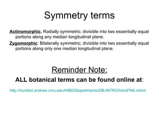 Flower Morphology | PPT | Gardening | Home & Garden